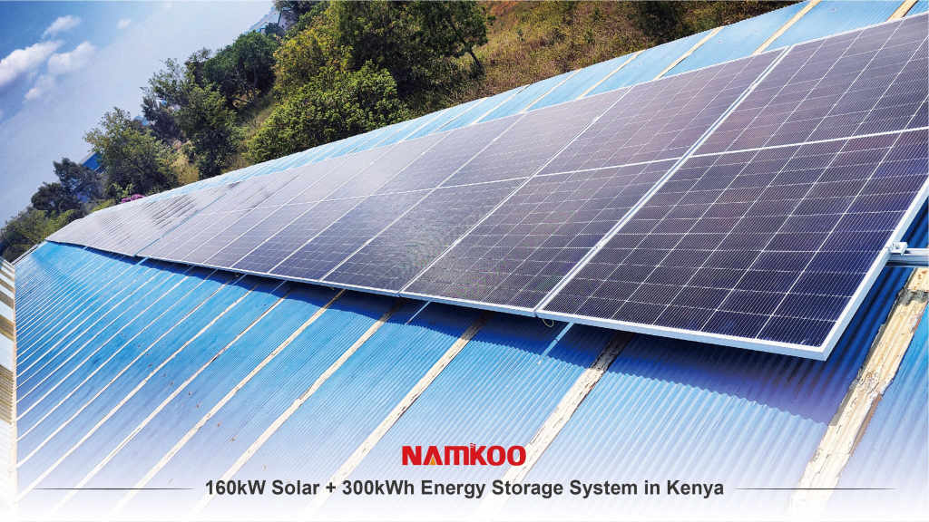 Energy Storage Systems Project